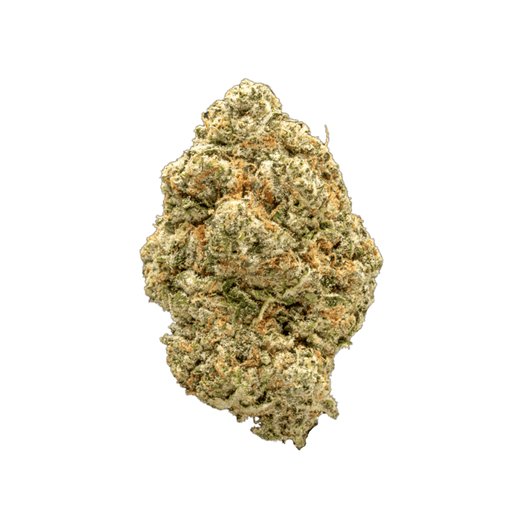 California Cali Bud in the UK Your Ultimate Guide to the Hottest ...